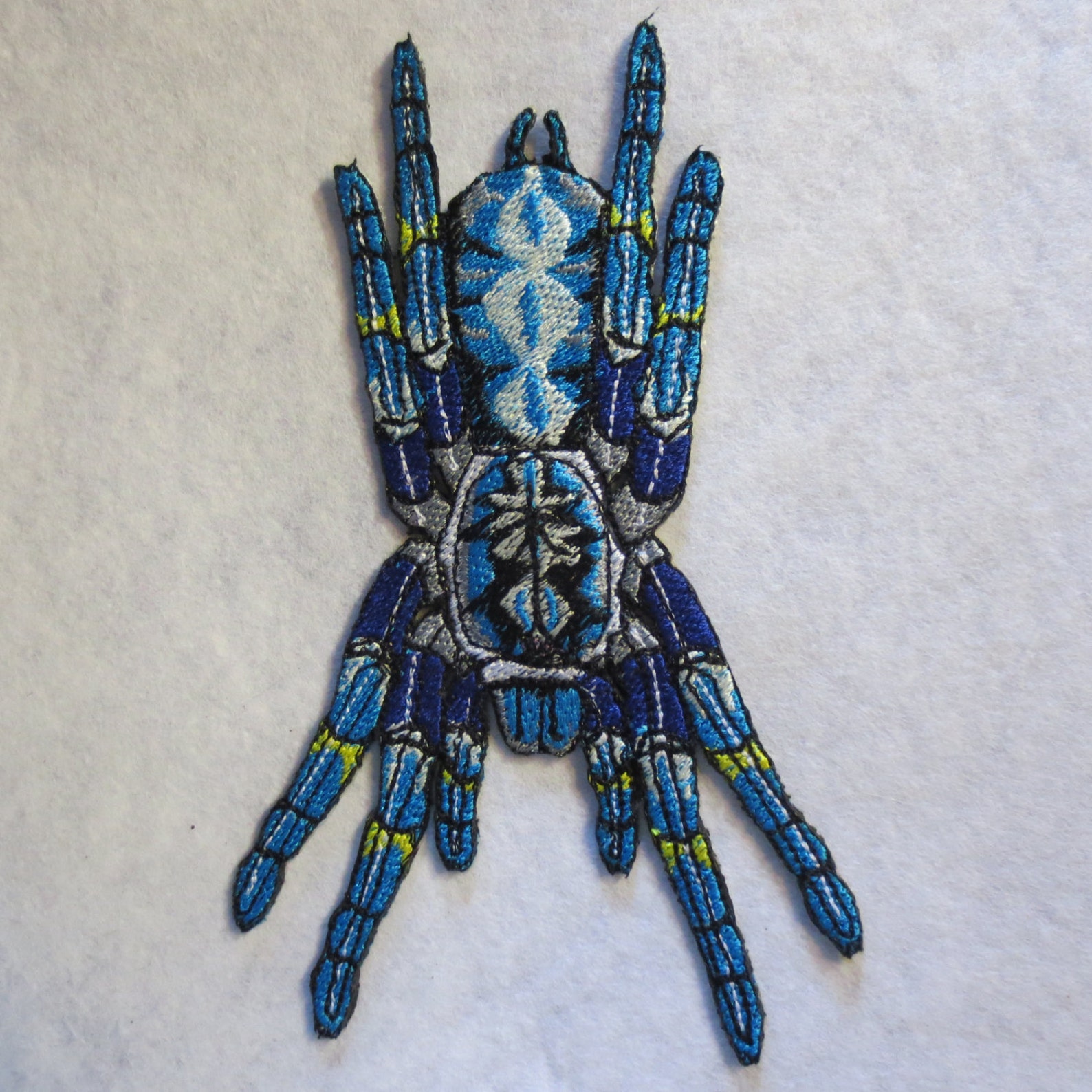 Poecilotheria Metallica Tarantula Gooty Sapphire Ornamental Tree Spider ...