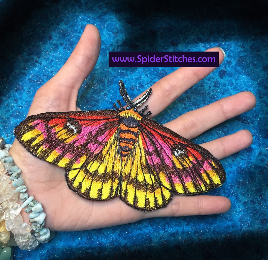 Common Sheep Moth Hemileuca Eglanterina Iron on Patch Californian Moth ...