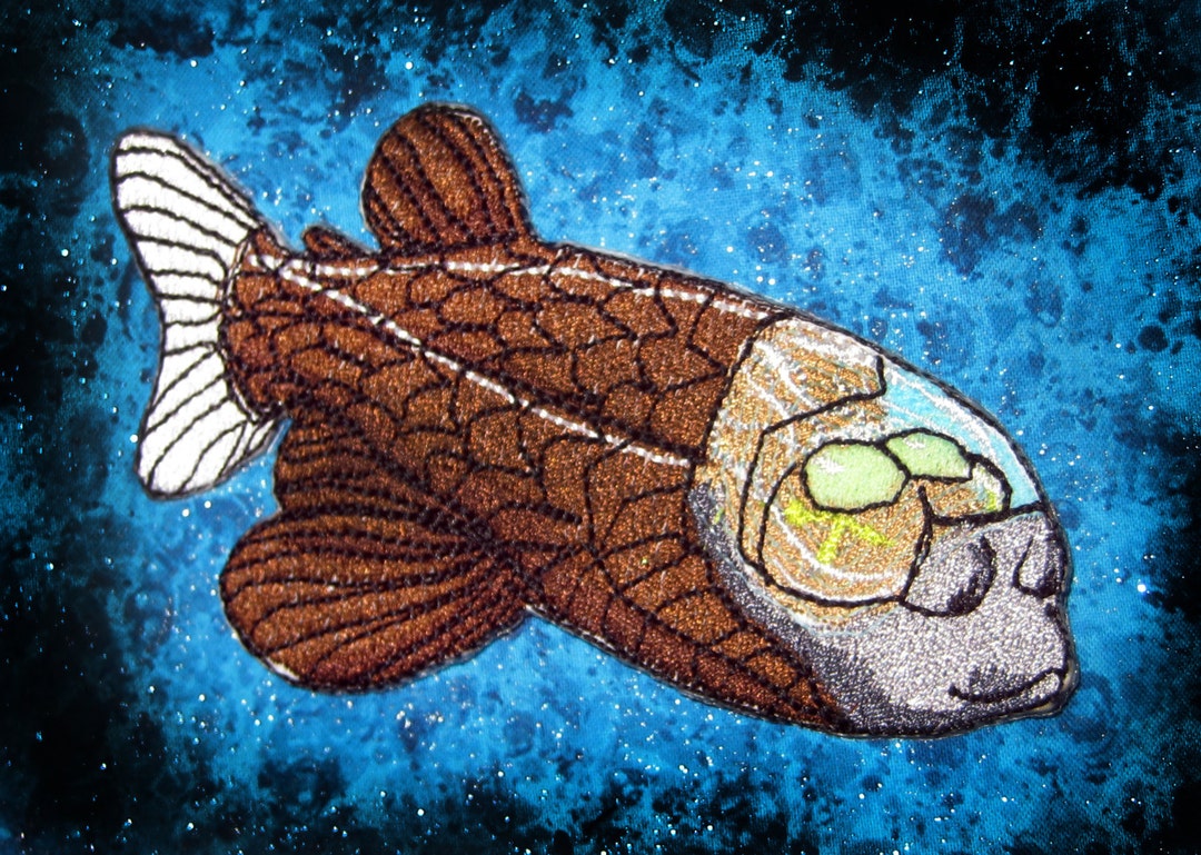 Barreleye Spook Fish