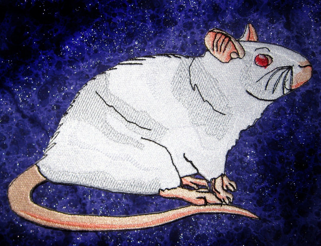 Huge Fancy Albino Rat Iron on Patch Sew on Applique - Etsy