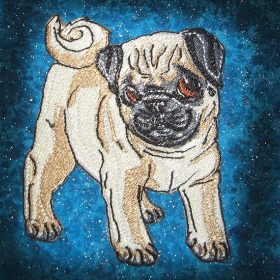 Silver Fawn Pug Puppies