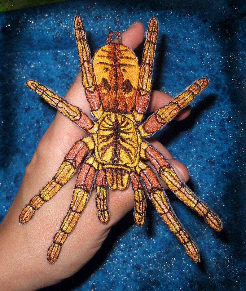 AWESOME OBT Pterinochilus Murinus Orange Baboon Tarantula Spider Iron ...