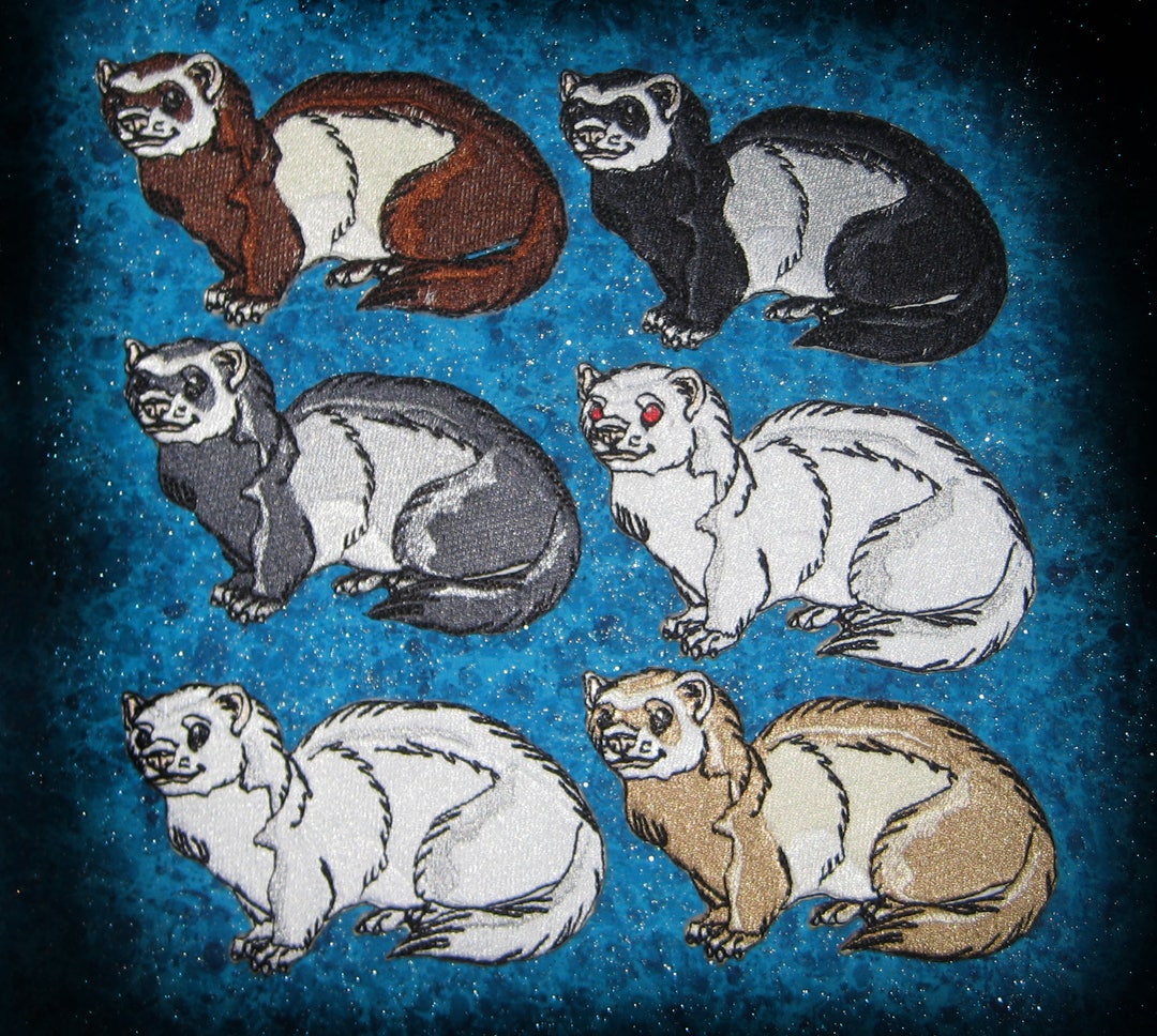 Cute Ferret Ferrets Pick Your Color Iron on or Sew on Patch Sable Black ...