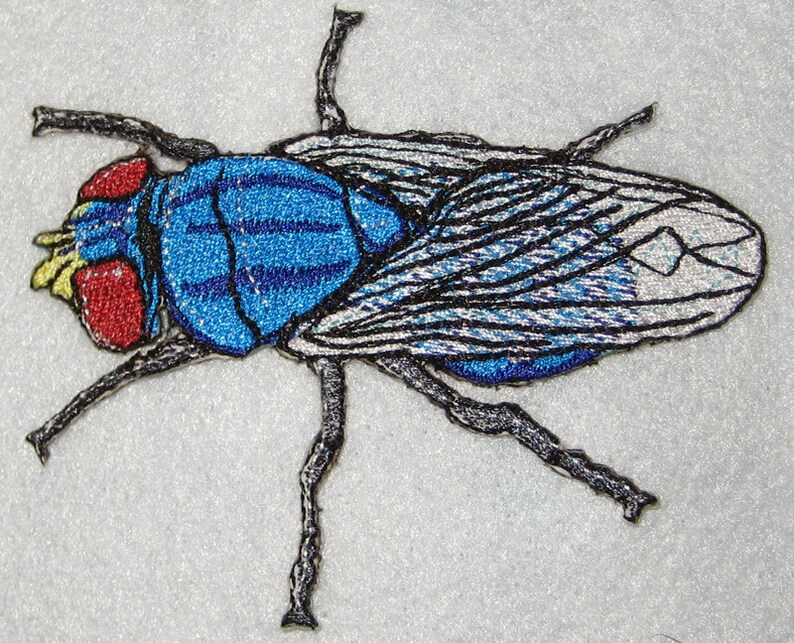 Epic Blue Blow Fly Flesh Fly Cochliomyia Macellaria - Etsy