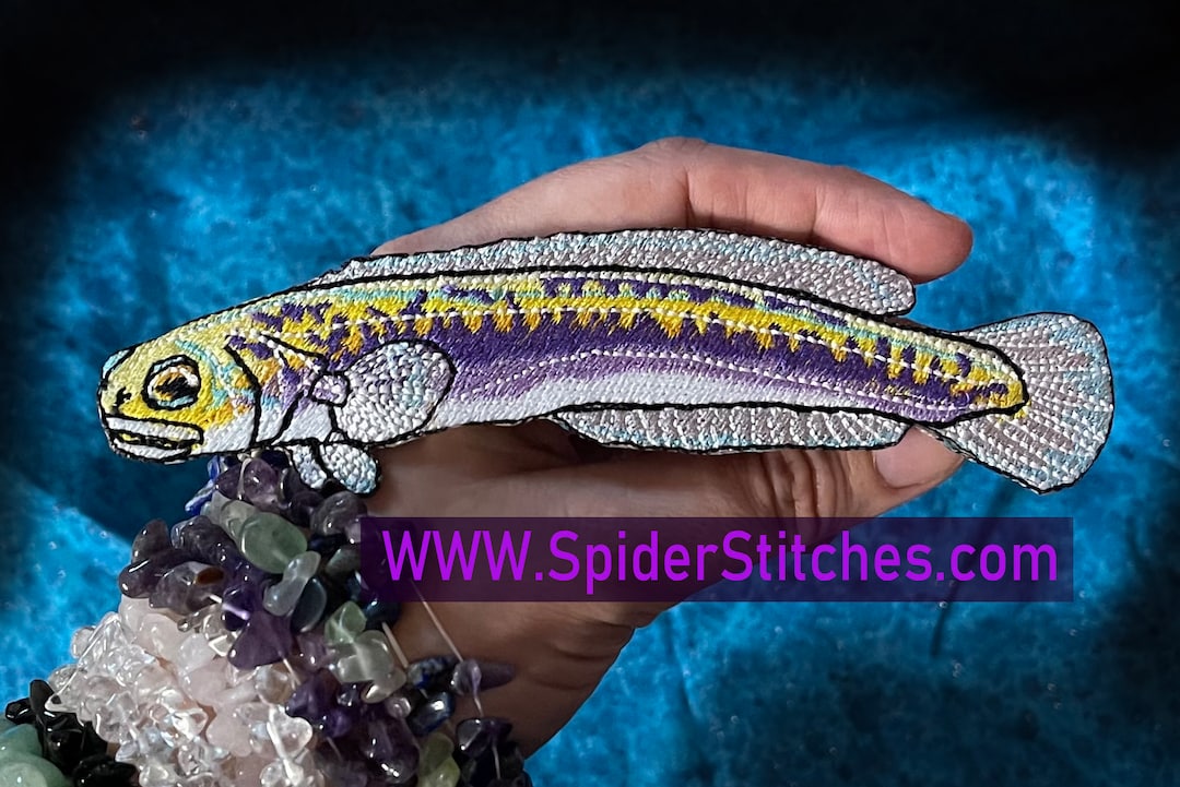 Rare Oreni Tilefish Fish Iron on Patch Diving Diver Scuba Snorkeling ...