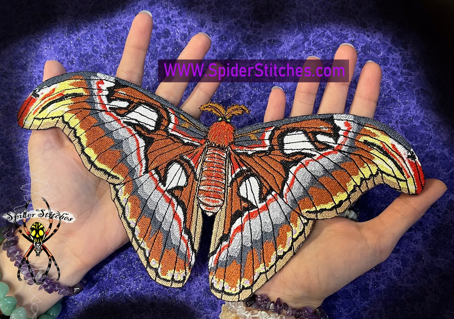Lovely Life Sized Atlas Moth Attacus Atlas Snakehead Moth - Etsy