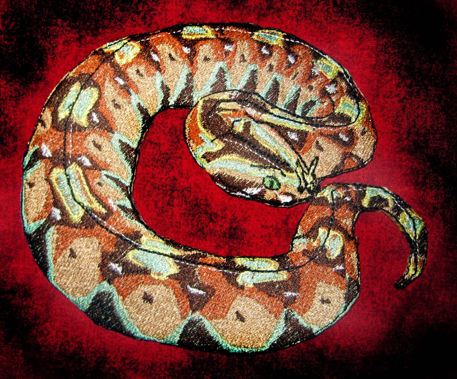 Rhino Viper Snake