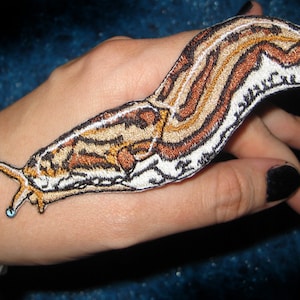 Magical Spotted Leopard Slug Limax Maximus Iron on Patch - Etsy