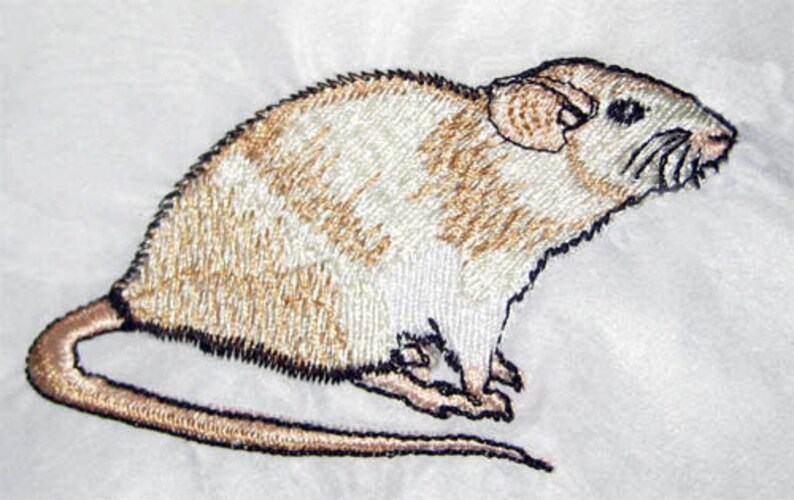 Fancy Dumbo Ear Cinnamon Pearl Cream Rat Steam Punk Iron on - Etsy