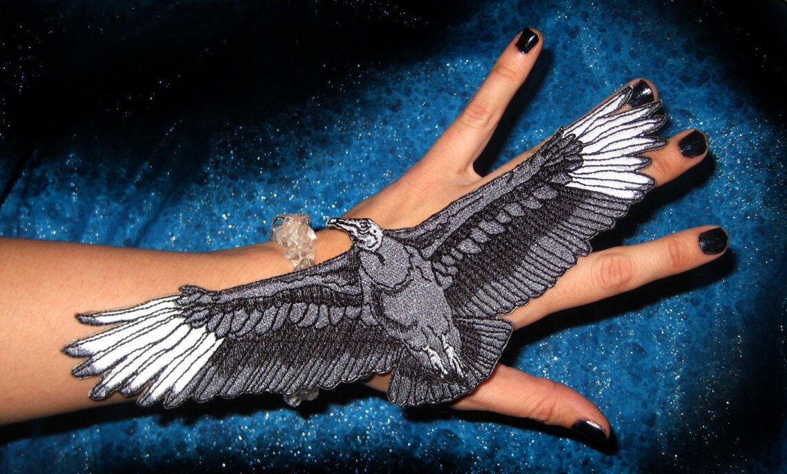 American Black Vulture Bird Buzzard Iron on Patch Coragyps - Etsy