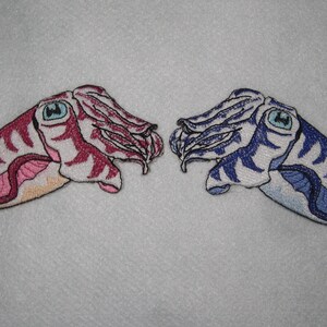 Cuttlefish Pair Iron on Patch - Etsy