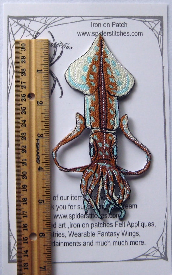 Firefly Squid Anatomy