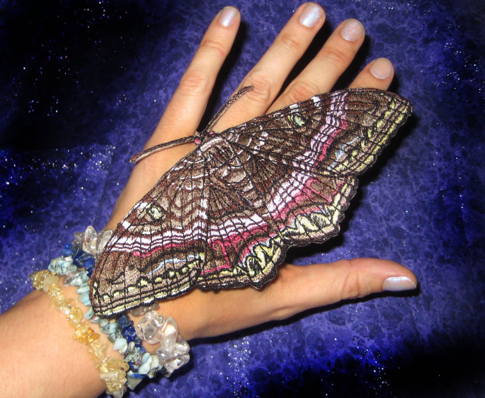 Black Witch Moth Ascalapha Odorata Iron on Patch Applique - Etsy