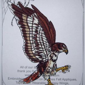 Medium Swooping Red Tail Hawk Bird Iron on Patch - Etsy