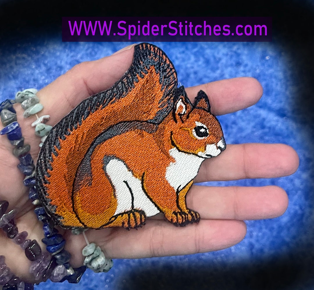 American Red Squirrel Iron on Patch Fox Tamiasciurus Hudsonicus - Etsy