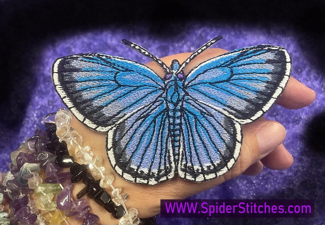 Lovely Endangered Rare Mission Blue Butterfly Iron on Patch Icaricia ...