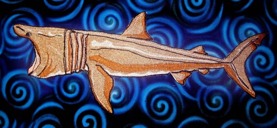 Basking Shark Skeleton