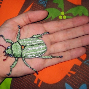 Glorious Jeweled Scarab Beetle Chrysina "plusiotis" Gloriosa Steam Punk ...