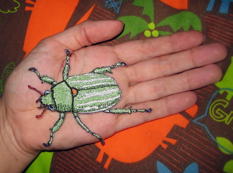 Glorious Jeweled Scarab Beetle Chrysina "plusiotis" Gloriosa Steam Punk ...