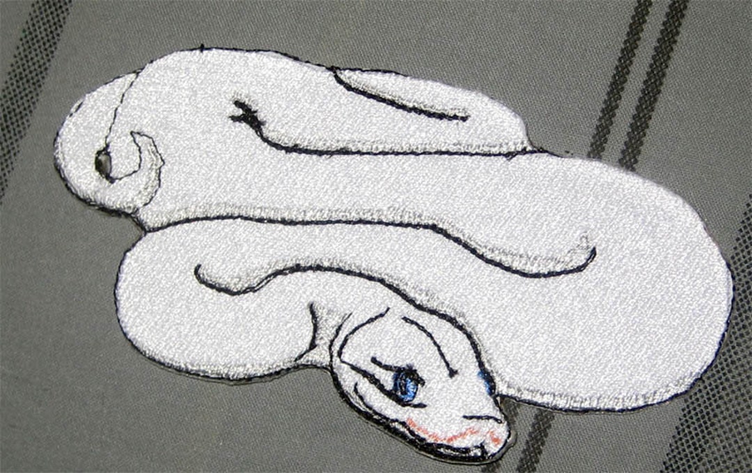 Awesome Royal White Ball Python Snake "python Regius" Serpent Pet Steam ...