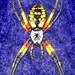 Huge Golden Writing Orb Weaver Spider Argiope Aurantia Gothic Yellow ...