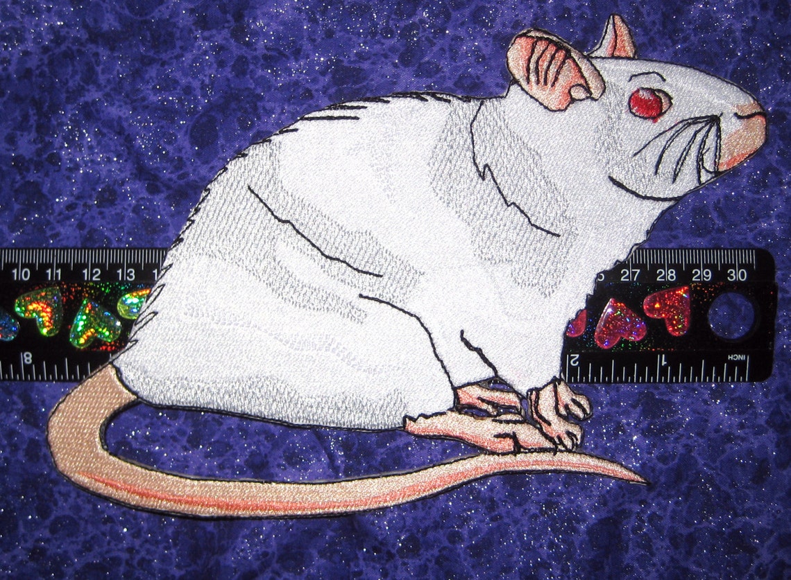 Huge Fancy Albino Rat Iron on Patch Sew on Applique | Etsy