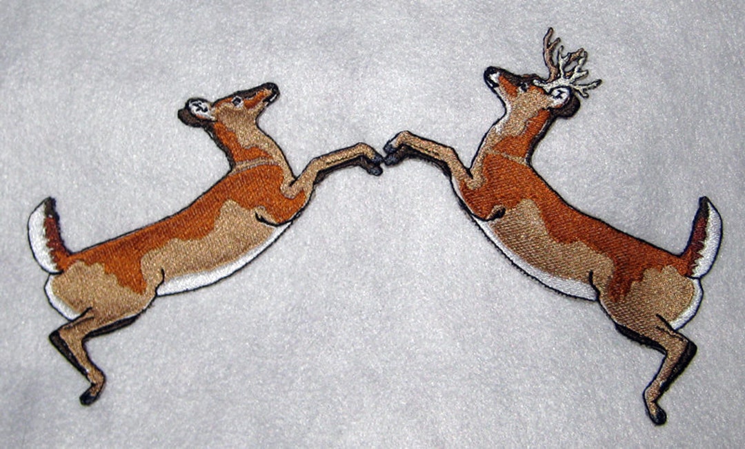 White Tailed Whitetail Deer Buck and Doe Pair Lovely Leaping Odocoileus ...