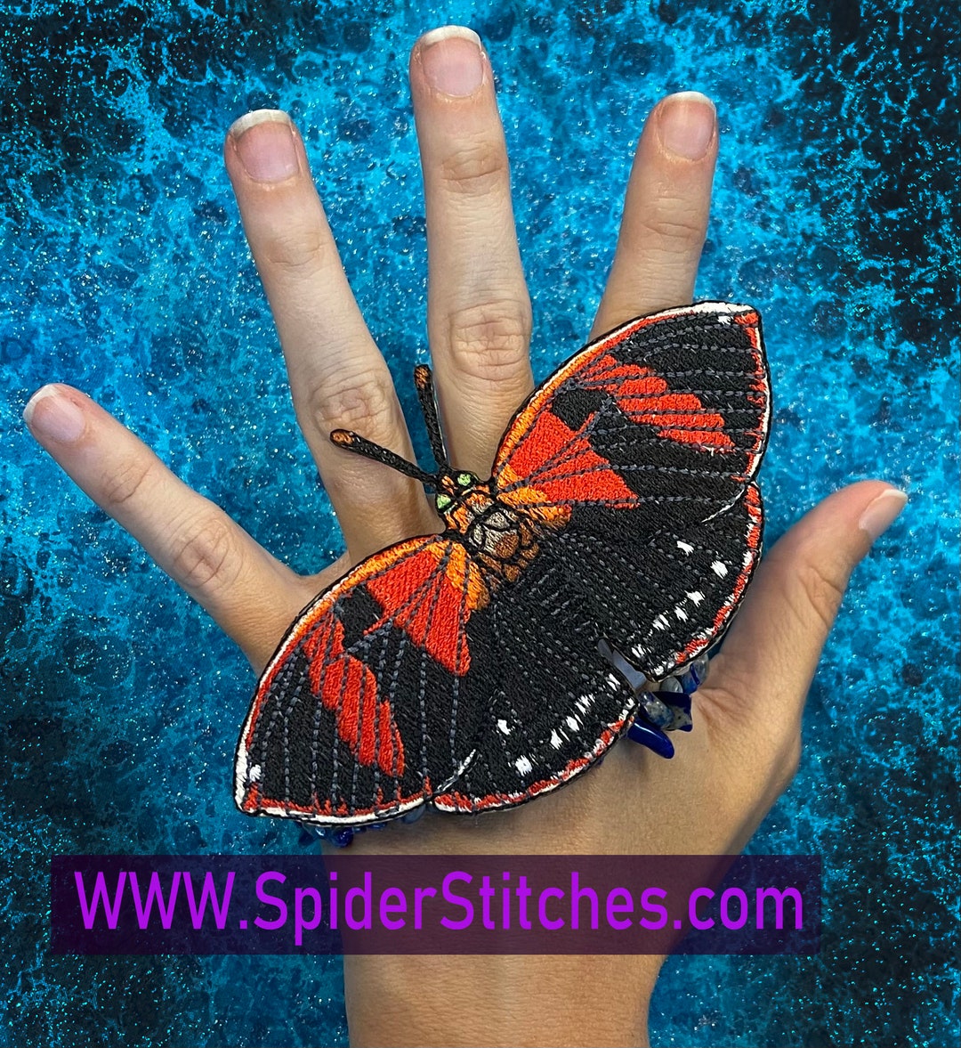 Scarlet Leafwing Siderone Galanthis Butterfly Insect Iron on Patch Real ...
