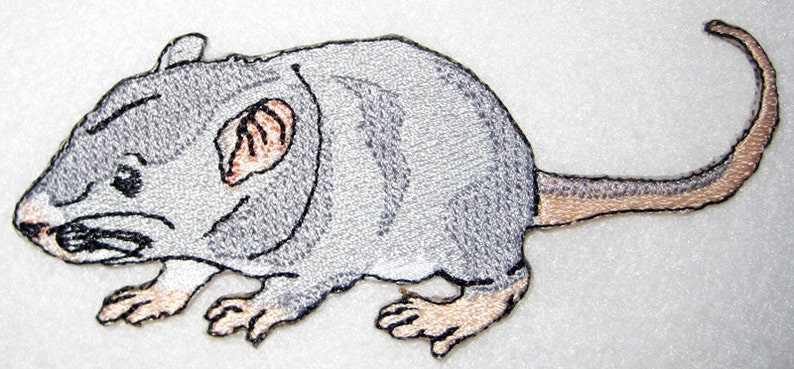 Fancy Silver Blue Baby Rat Pup Hopper Self Rat Steam Punk | Etsy