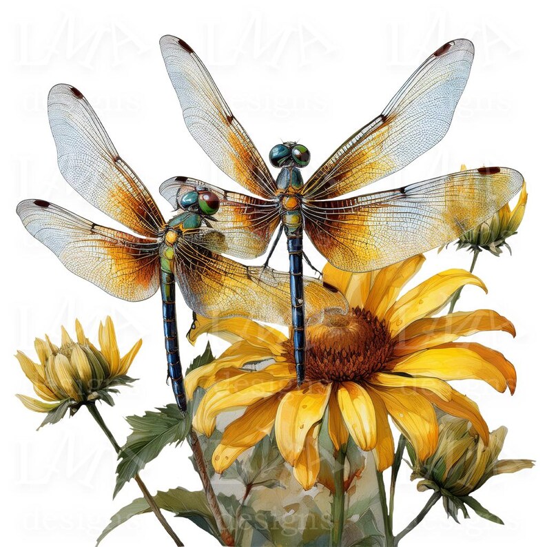 16 Garden Dragonflies and Flowers Clipart Images - Set 1 - Etsy