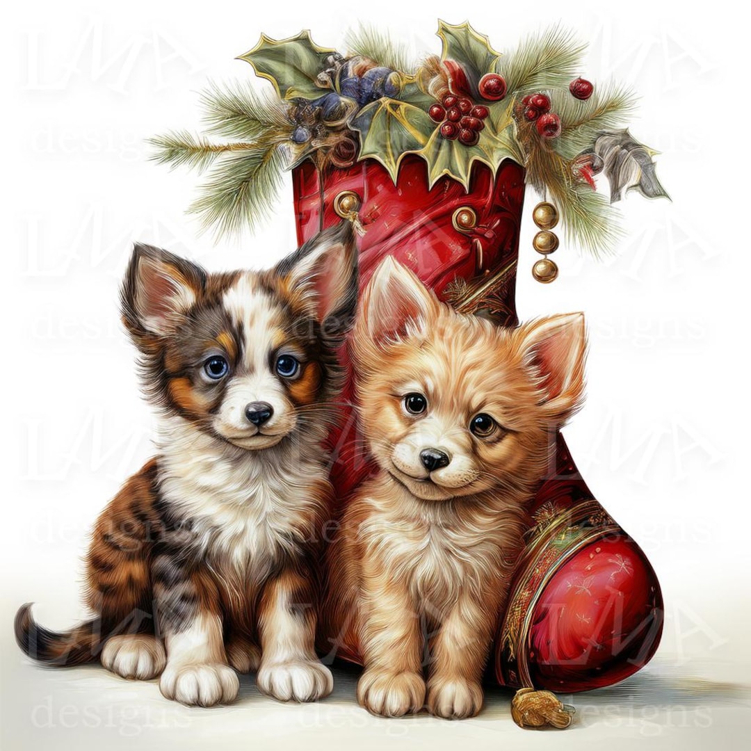 13 Puppies and Kittens With Christmas Stockings Clipart Images - Etsy