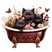 Playful Kittens in Maroon Victorian Tubs With Colorful Flowers. - Etsy