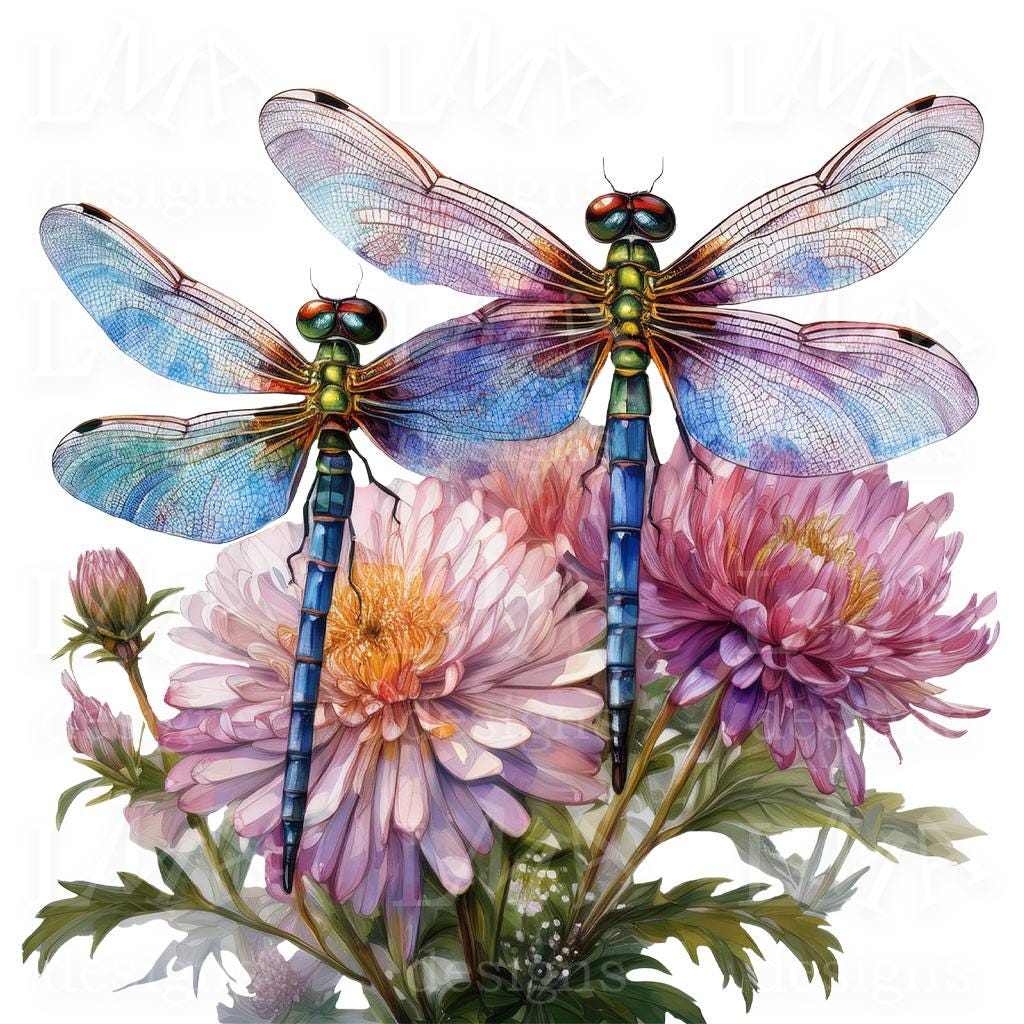 16 Garden Dragonflies and Flowers Clipart Images - Set 1 - Etsy