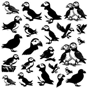 Puffin Svg Bundle, Atlantic Puffin Clipart, Puffling Water Bird Vector ...