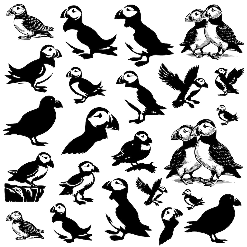 Puffin Svg Bundle, Atlantic Puffin Clipart, Puffling Water Bird Vector ...