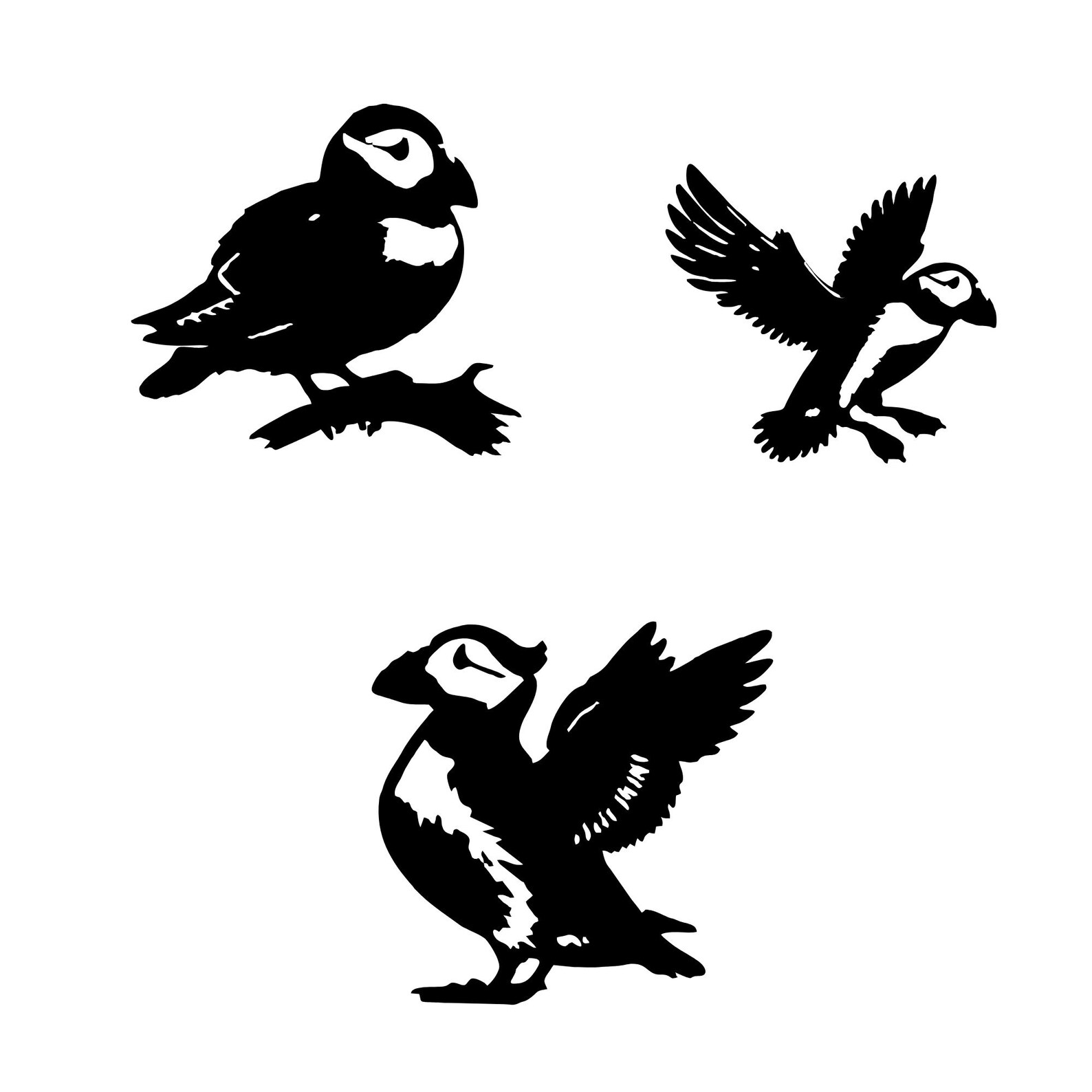 Puffin Svg Bundle, Atlantic Puffin Clipart, Puffling Water Bird Vector ...