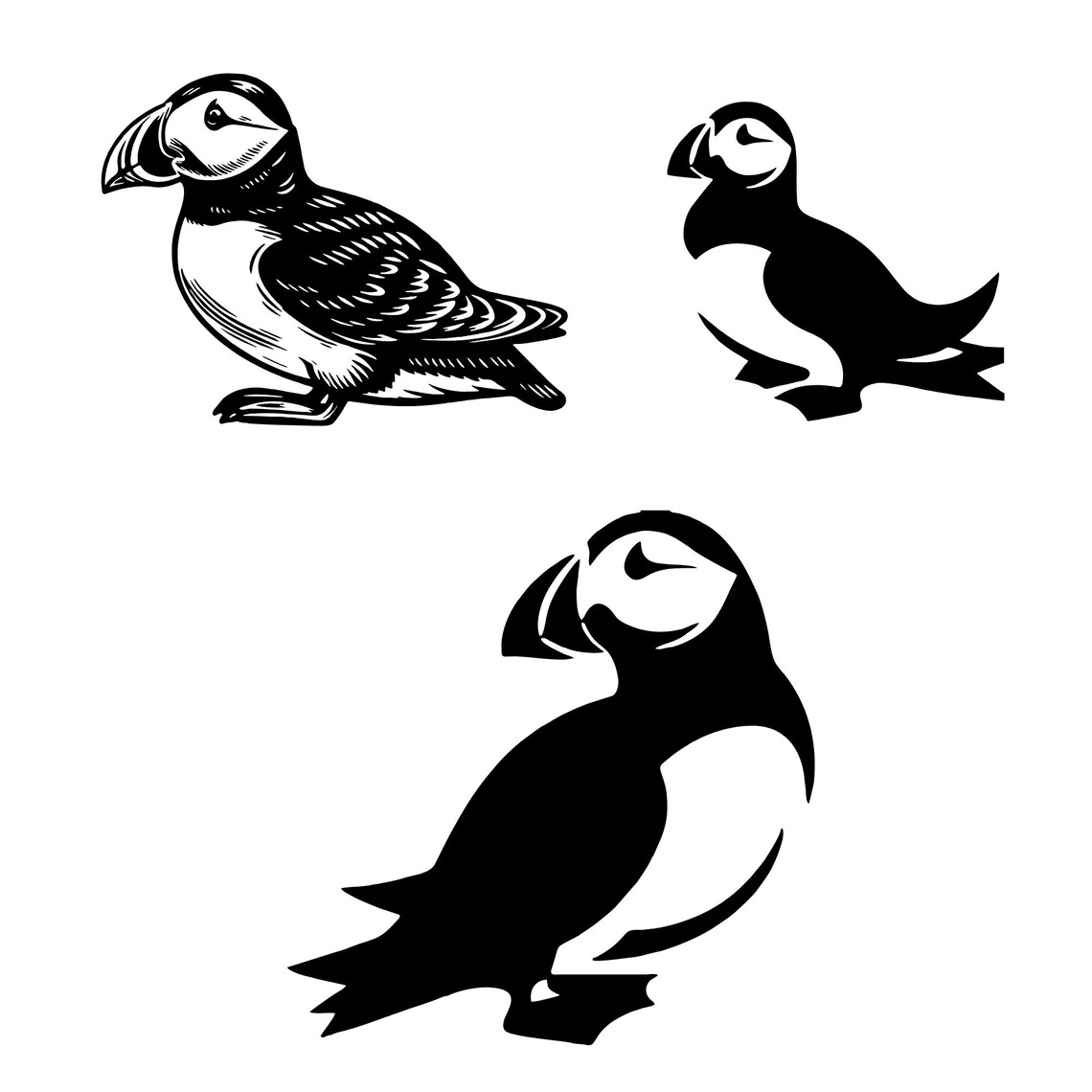 Puffin Svg Bundle, Atlantic Puffin Clipart, Puffling Water Bird Vector ...