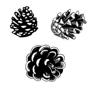 Pinecone Svg Bundle, Cone Clipart, Pine Tree Vector, Conifer Cone Decal ...