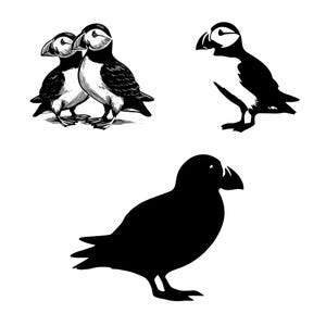 Puffin Svg Bundle, Atlantic Puffin Clipart, Puffling Water Bird Vector ...