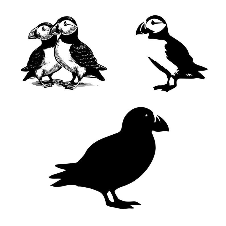 Puffin Svg Bundle, Atlantic Puffin Clipart, Puffling Water Bird Vector ...
