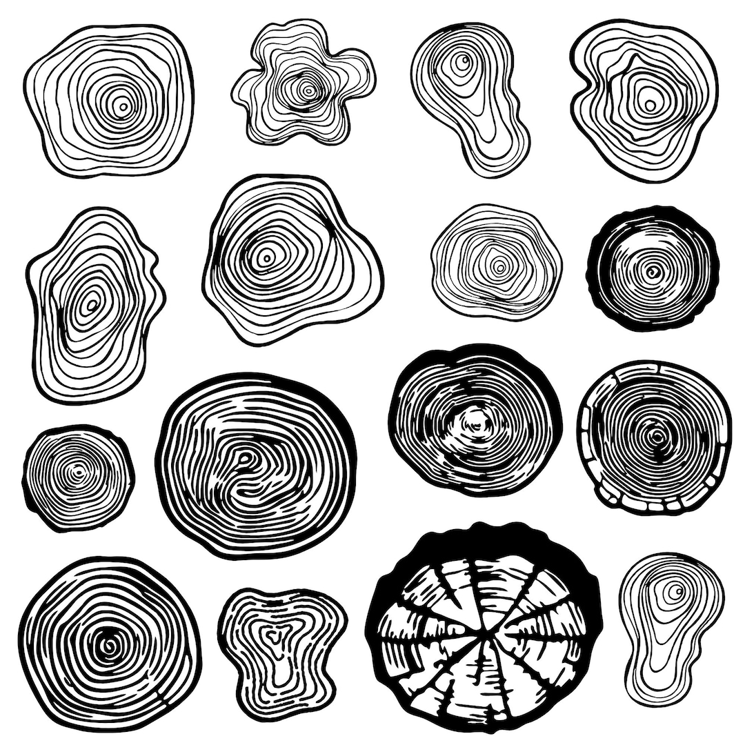 Wood Slice SVG Bundle, Tree Rings Svg, Wood Slice Dxf, Wood Slice Png ...