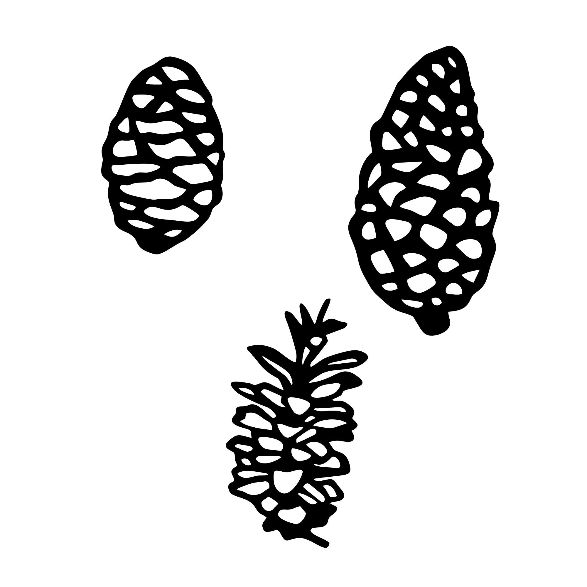 Pinecone Svg Bundle, Cone Clipart, Pine Tree Vector, Conifer Cone Decal ...