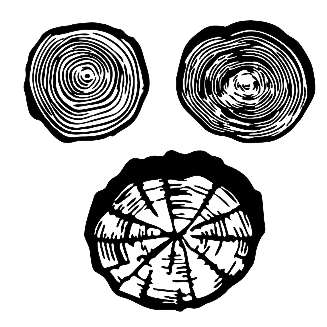 Wood Slice Svg Bundle Tree Rings Svg Wood Slice Dxf Wood Slice Png