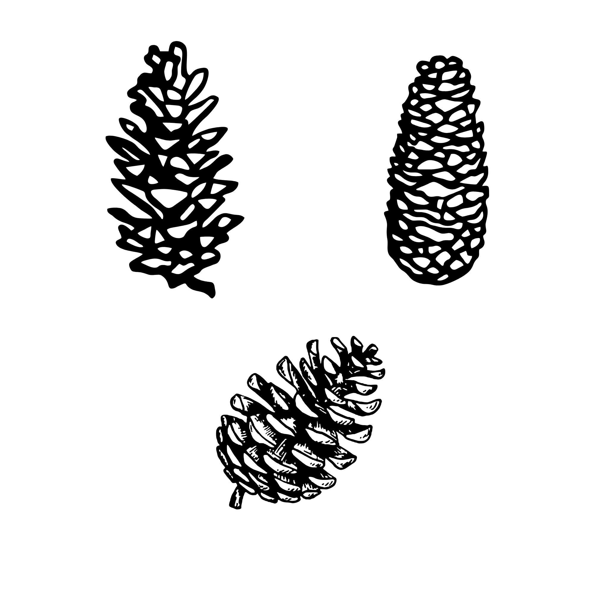 Pinecone Svg Bundle, Cone Clipart, Pine Tree Vector, Conifer Cone Decal ...
