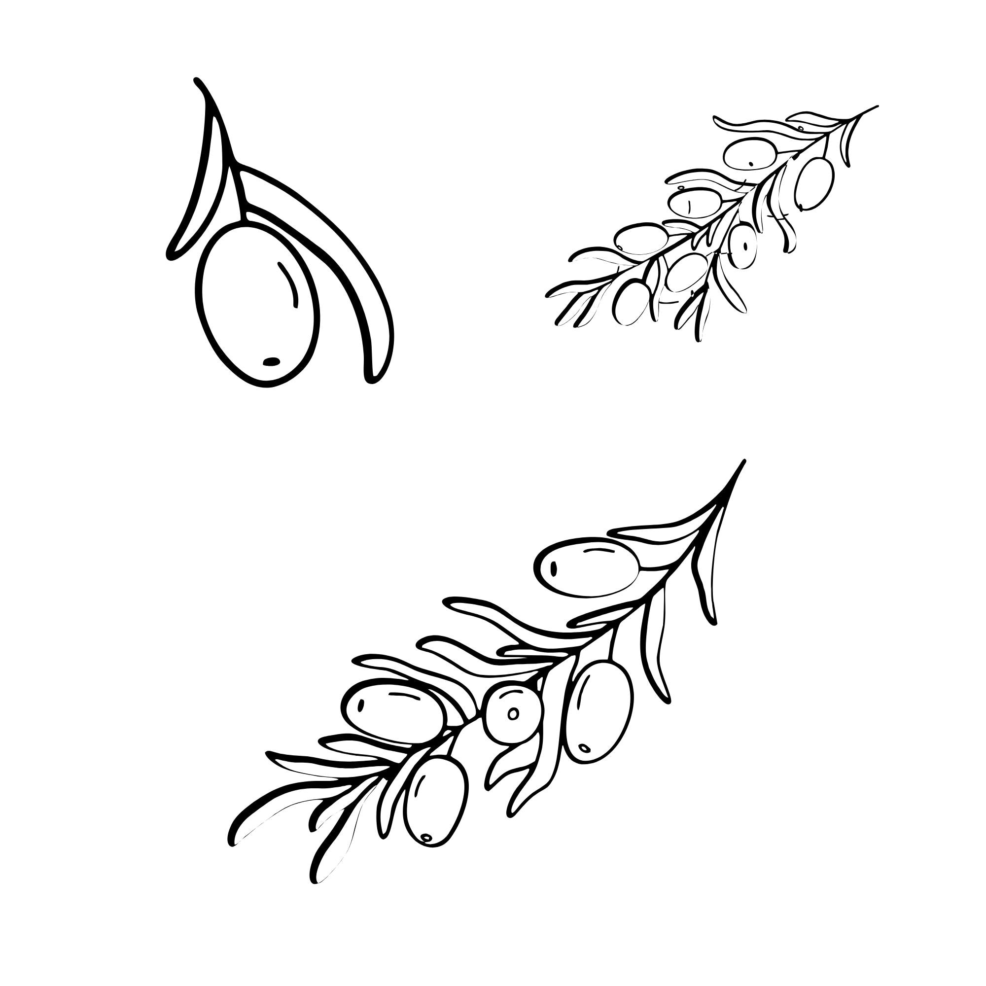 Olive Branch Svg Bundle, Olive Leaves Clipart, Olive Vector, Olive ...