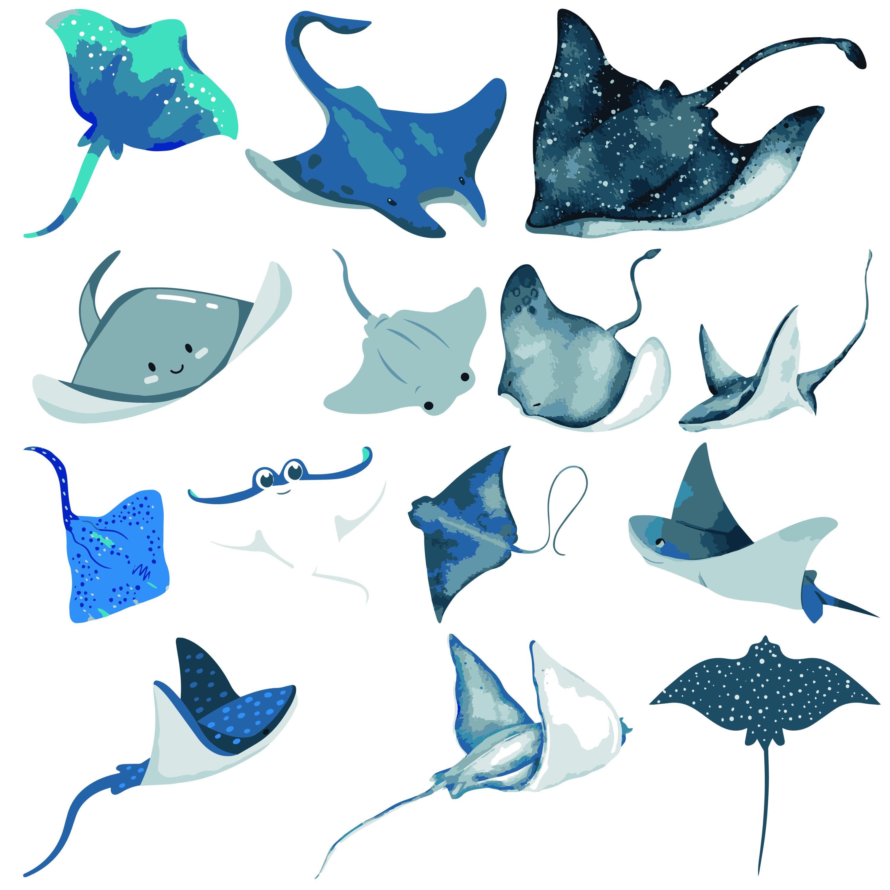 Dibujos Para Colorear De Mantarrayas Para Imprimir