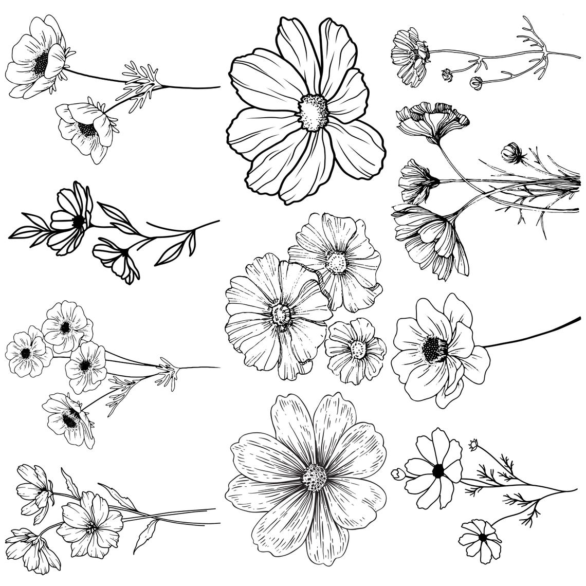 Cosmos Flower Svg, Cosmos Blossom Svg, Cosmos Flower Silhouette, Cosmos ...