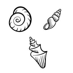 Seashell Svg Bundle, Seashell Clipart, Sea World Vector, Pastel ...