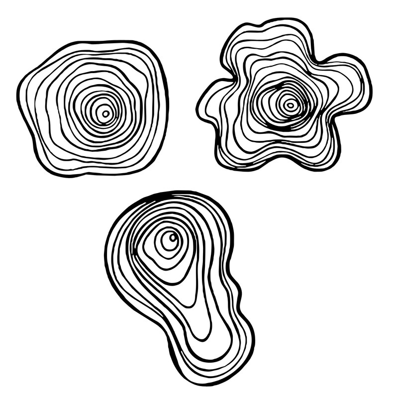 Wood Slice SVG Bundle, Tree Rings Svg, Wood Slice Dxf, Wood Slice Png ...