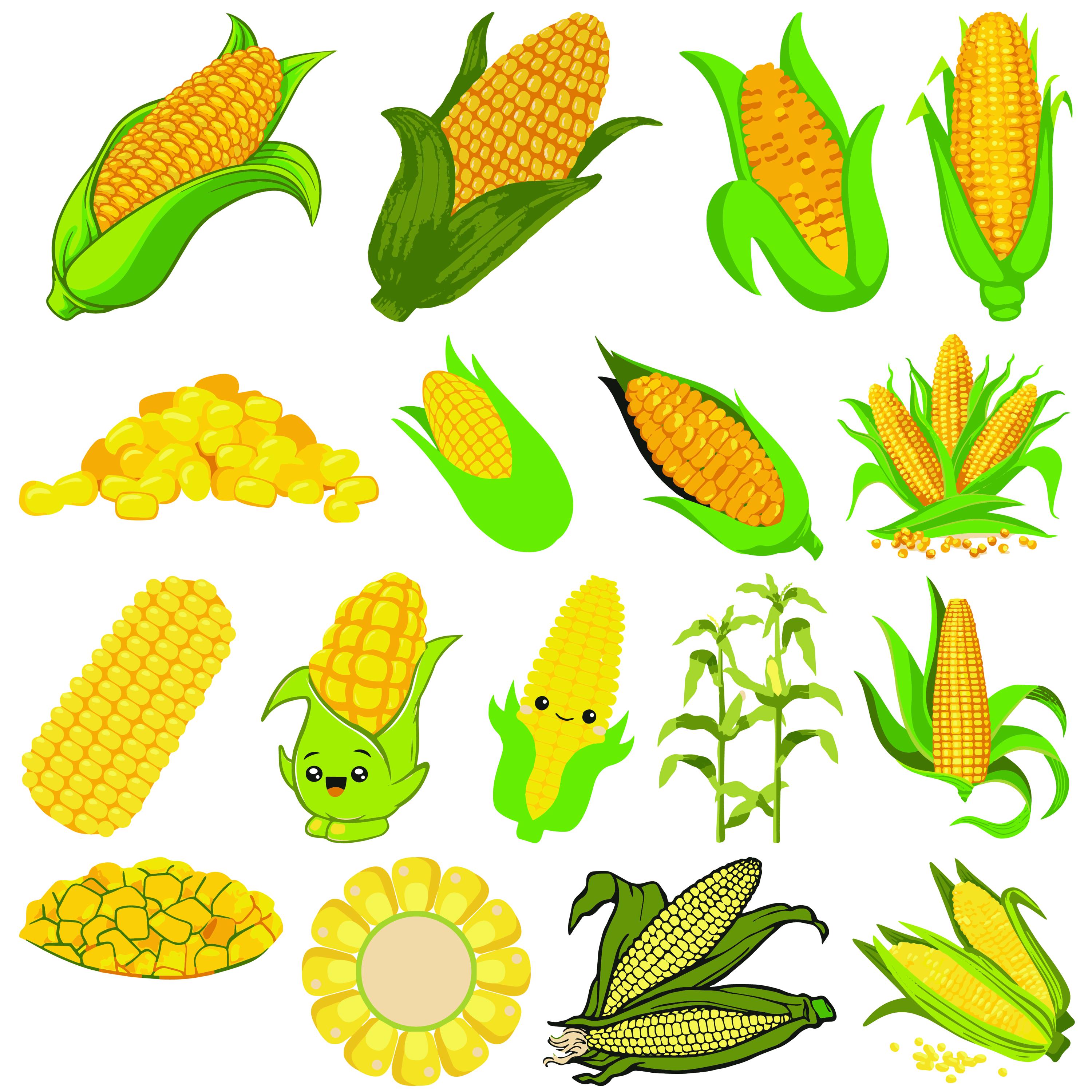 Corn Bundle SVG, Corn Silhouettes, Corn Clipart, Corn Farmer Svg, Corn ...